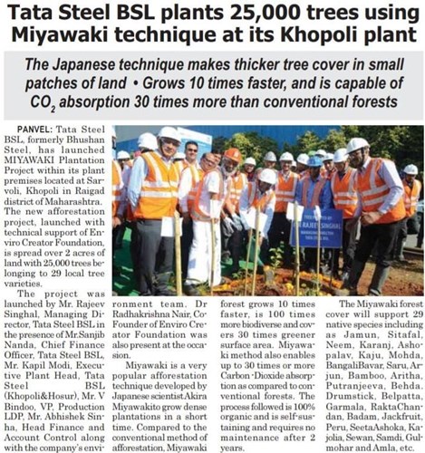 Tata Steel BSL plants 25.000 trees using Miyawaki technique at its ...